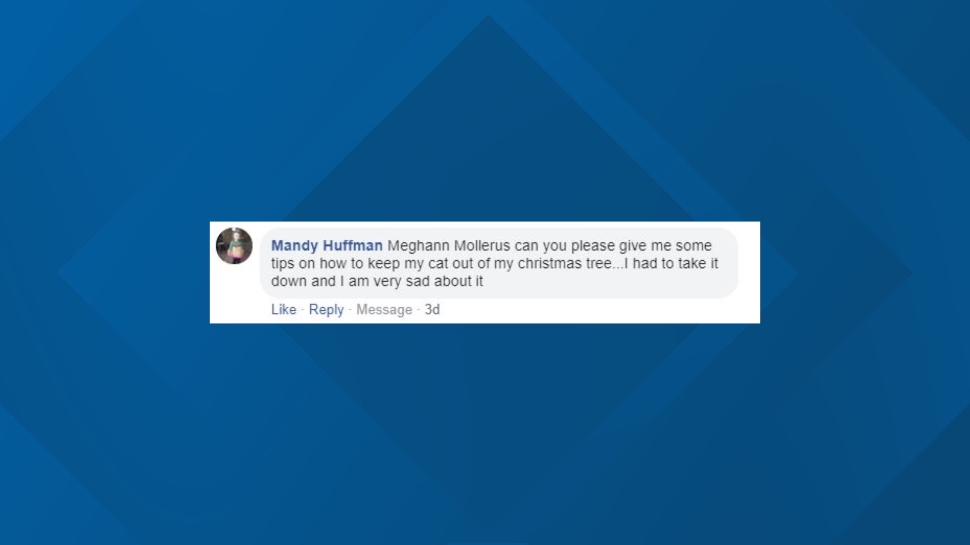 VERIFY: Orange peels and cinnamon can keep pets from Christmas trees ...