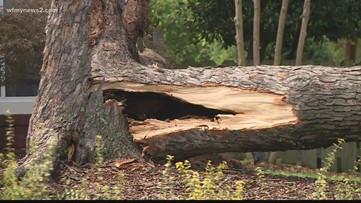 How to keep sane when your college kid moves back home | wfmynews2.com