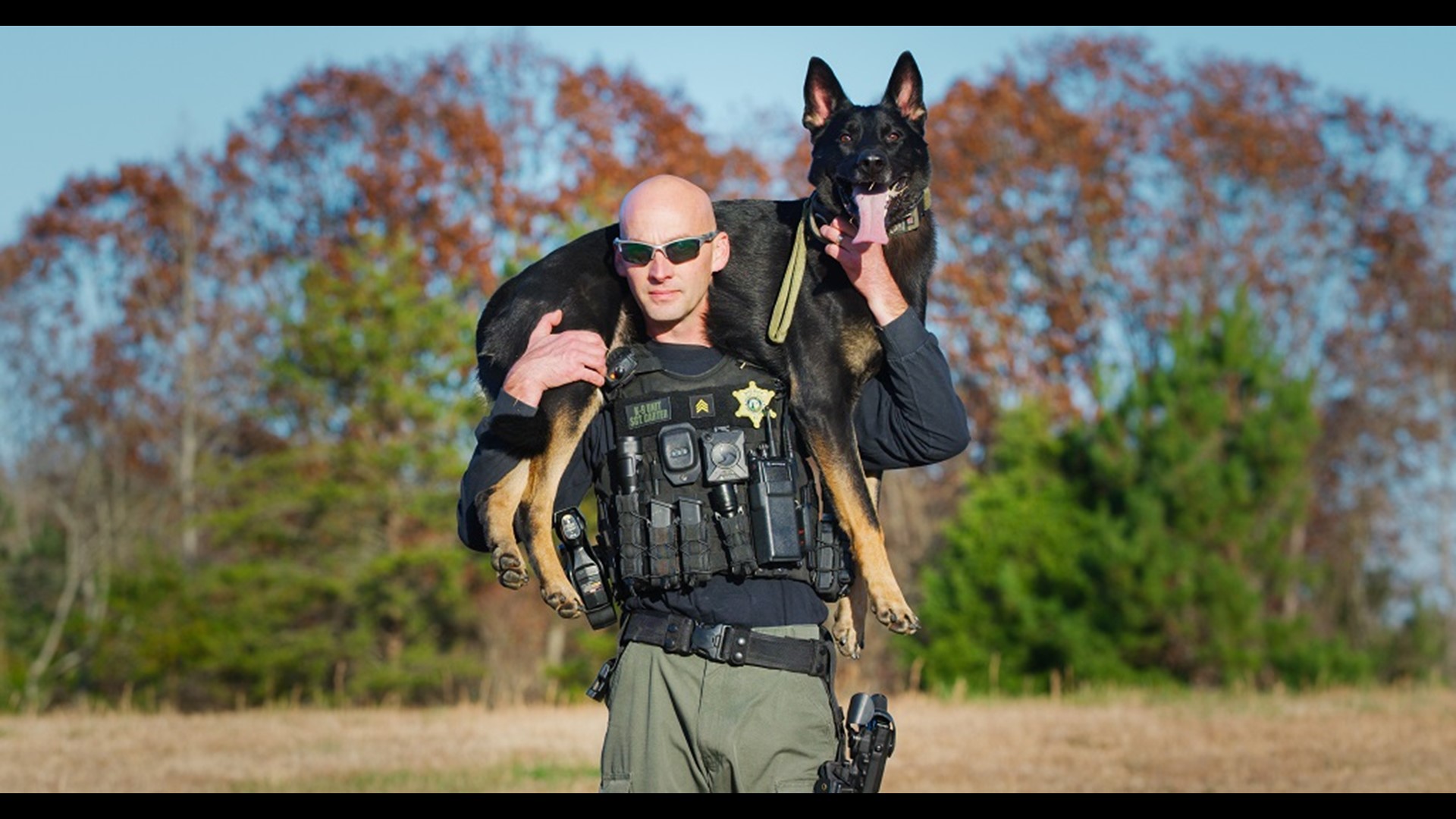 K-9 officers Ranger and Vader join the force | wfmynews2.com