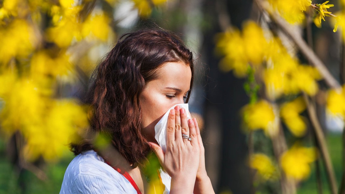 How to tackle allergy season with high tree pollen counts | wfmynews2.com
