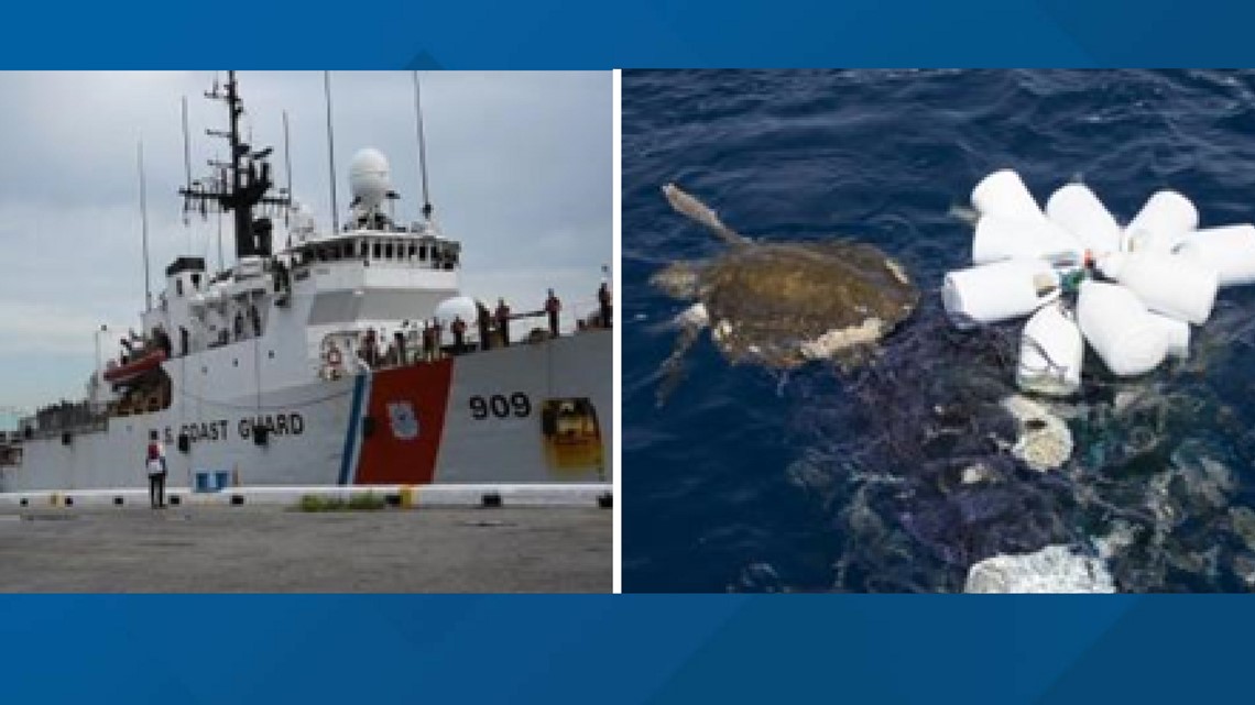 Coast Guard Crew Seizes 12,000 lbs. of Cocaine, Saves 3 Sea Turtles ...