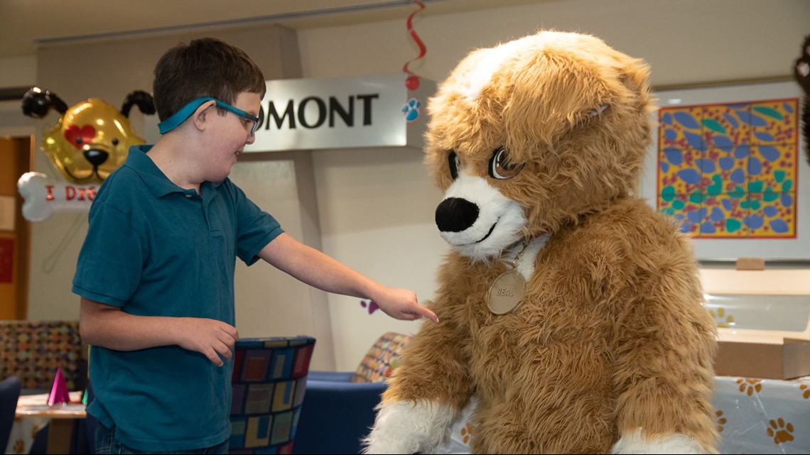 Brenner Children’s Hospital Mascots Celebrate Their First Birthday with ...