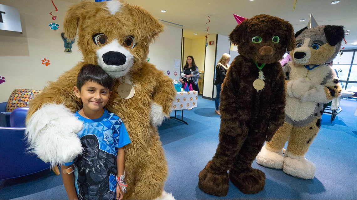 Brenner Children’s Hospital Mascots Celebrate Their First Birthday with ...