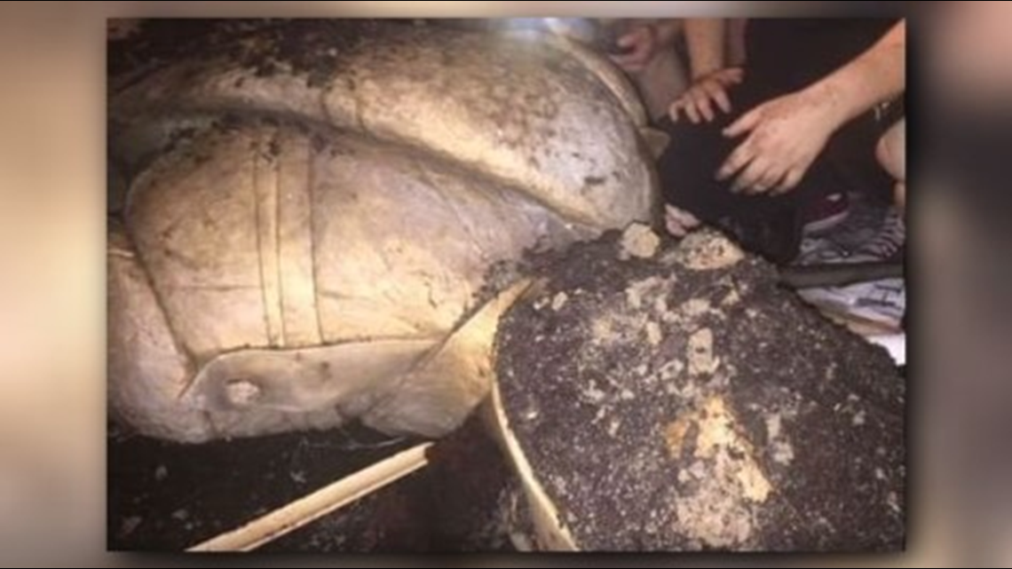 Silent Sam Statue Toppled | What’s Next For Confederate Monuments ...