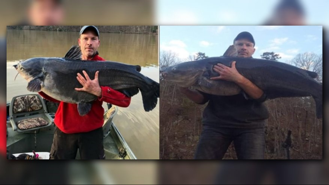 Holy Catfish! The ‘Fish Whisperer’ Reels In 2 Massive Catfish Just Days ...
