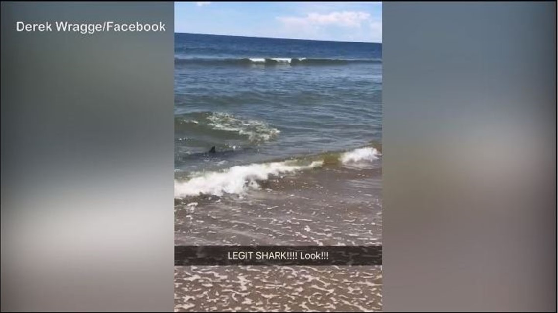 VIDEO: Shark Spotted Thrashing in Shallow Water On NC Beach | wfmynews2.com