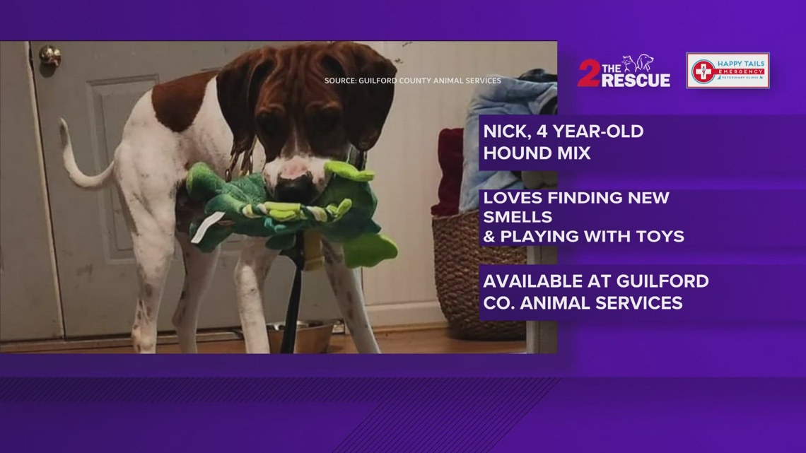 2 The Rescue: Meet Nick | wfmynews2.com