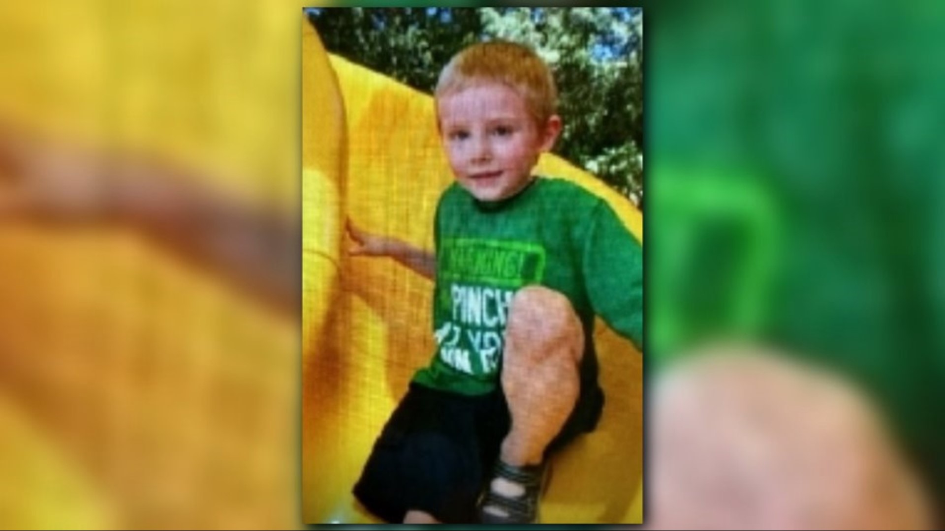 What We Know Since 6-Year-Old Maddox Ritch Disappeared At a NC Park ...