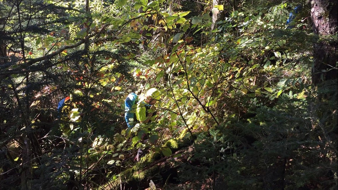 PHOTOS | Search Continues For Missing Hiker Susan Clements | wfmynews2.com