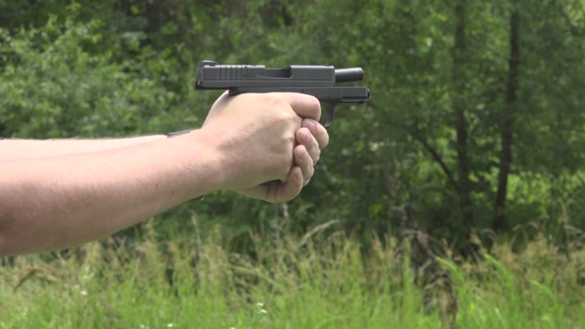 Rockingham Co. Concealed Carry Instructor Against New Gun Bill ...