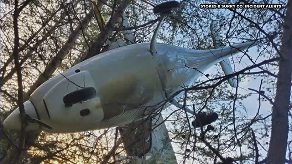 RAW: Plane crashes into trees in Stokes Co. | wfmynews2.com