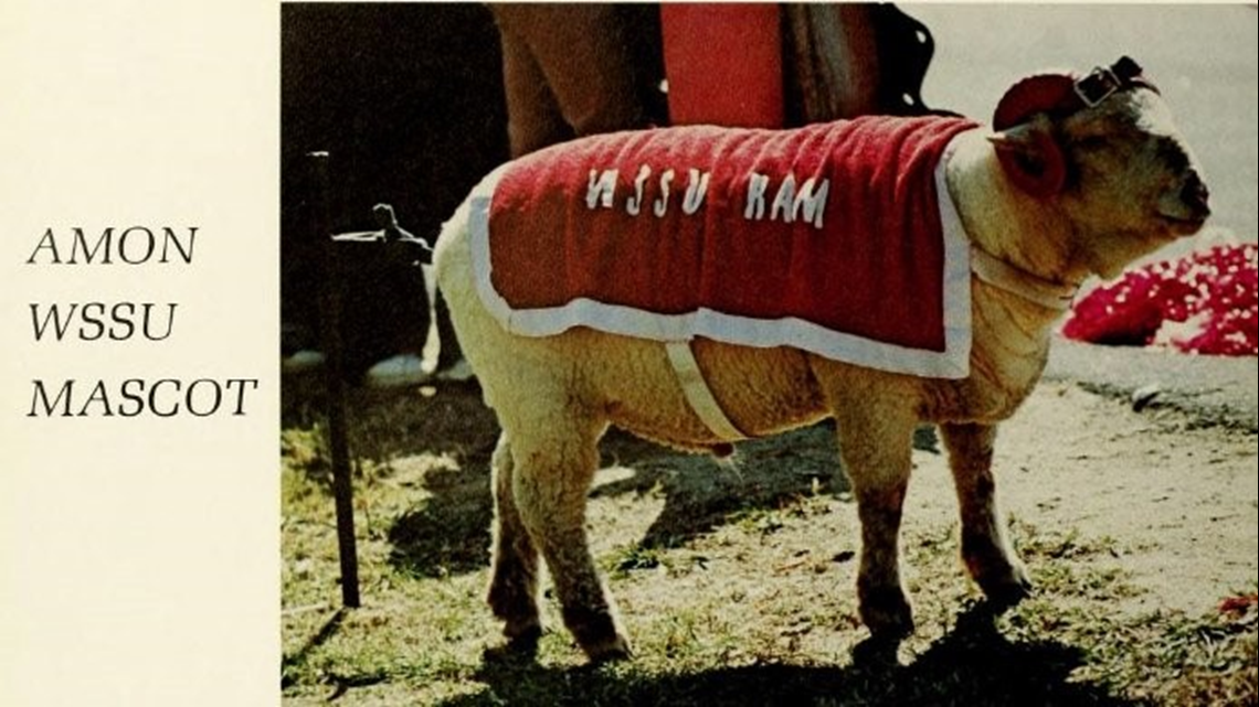 The 40-Year Legacy of WSSU’s Mascot, Amon the Ram | wfmynews2.com