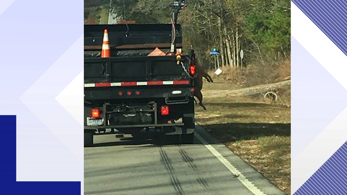 SCDOT Employees Hang Dog Carcass Off Side Of Truck | wfmynews2.com