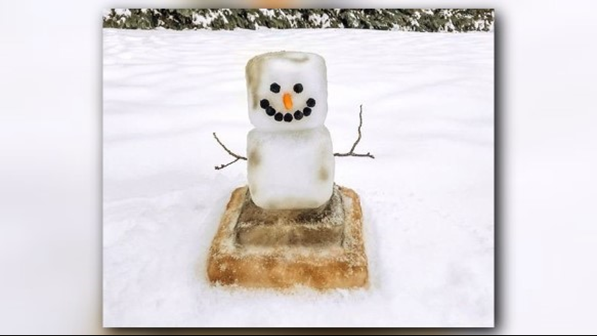 PHOTO GALLERIES: From Snow Babies, To Cute Pets, To Snowman Photos # ...