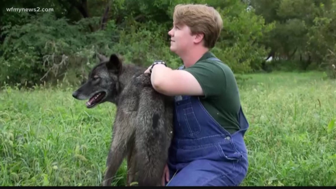 Medical Examiner Report: Witness Says Gate Wasn't Closed Properly In ...