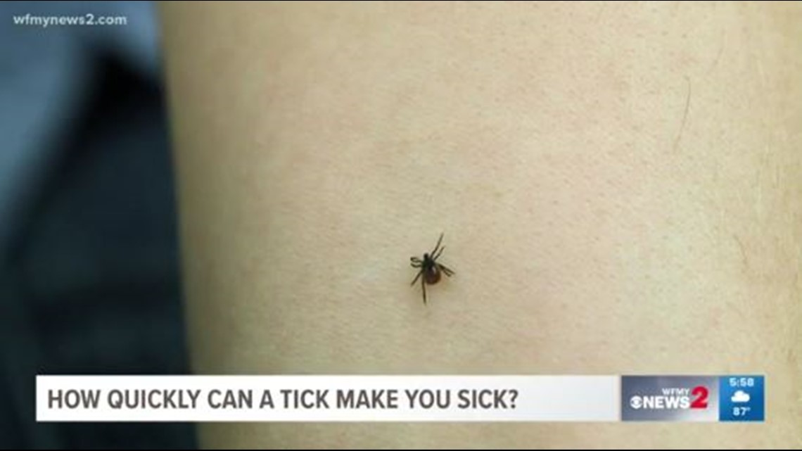 How Quickly Can an Attached Tick Make You Sick? | wfmynews2.com
