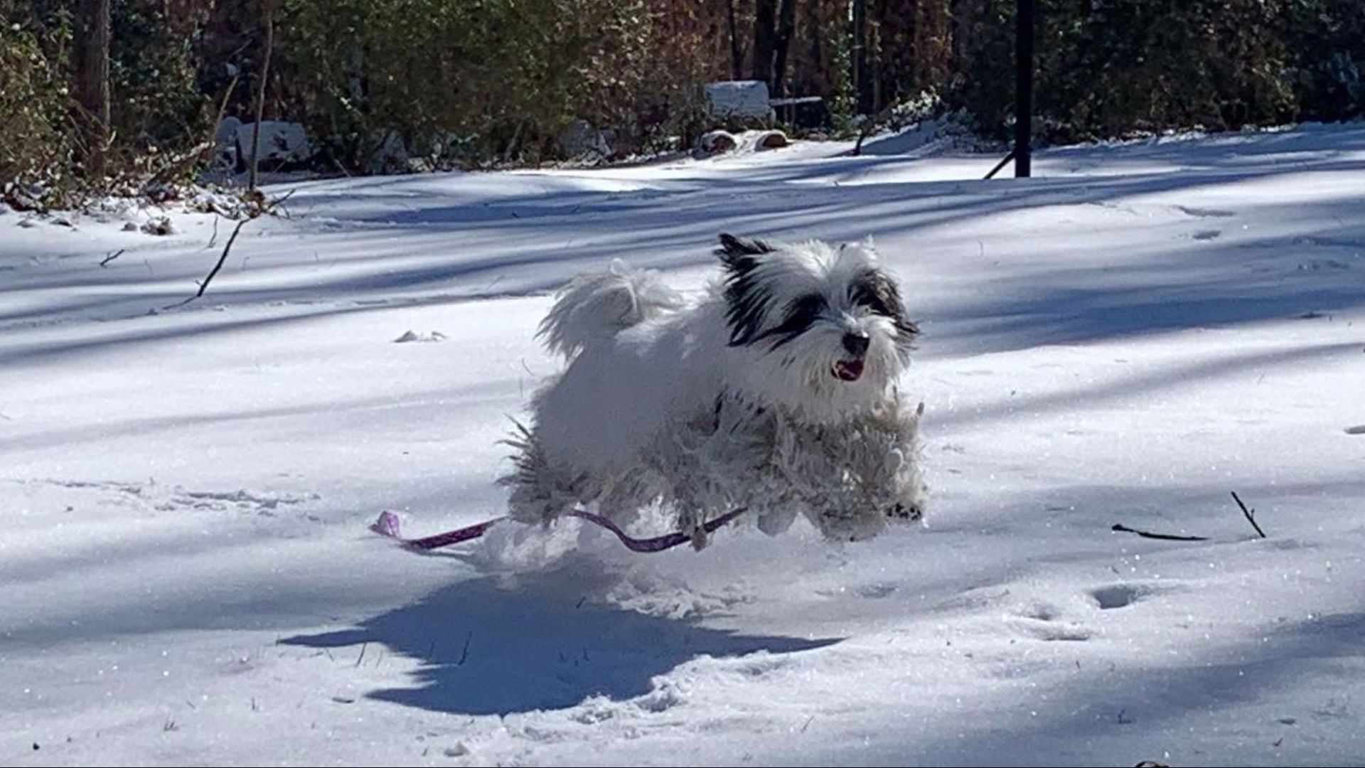 Send WFMY your snow pictures from Fridays | wfmynews2.com