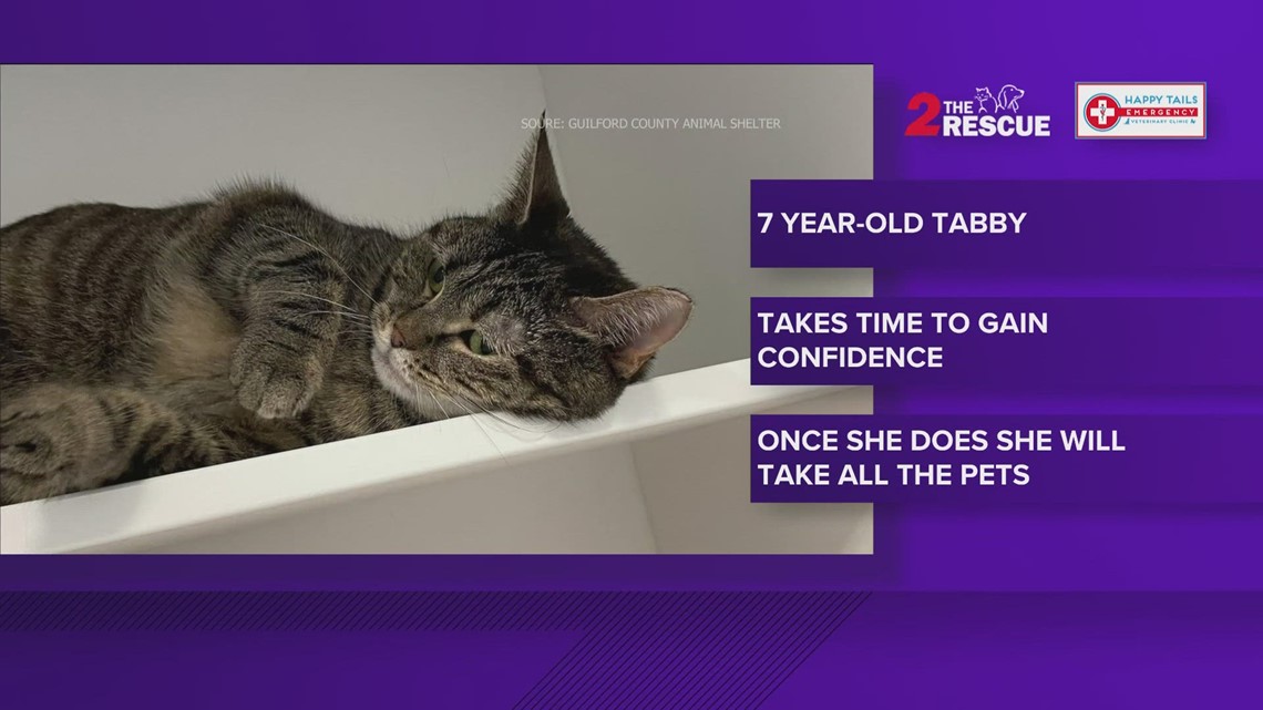 2 The Rescue: Meet Hunter | wfmynews2.com