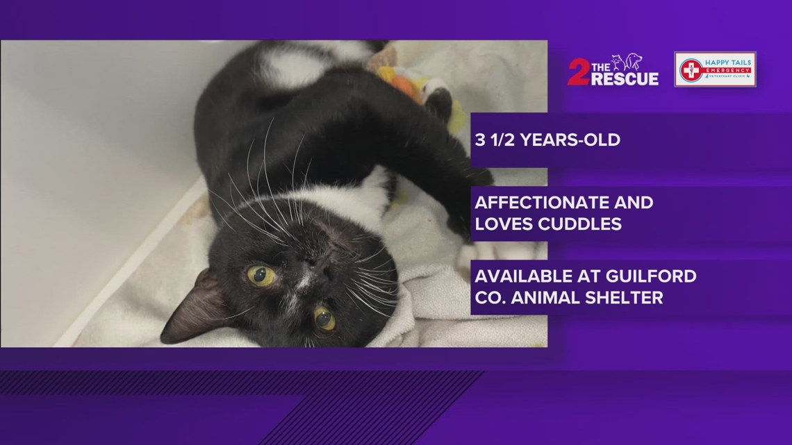 2 The Rescue: Meet Shrek | wfmynews2.com