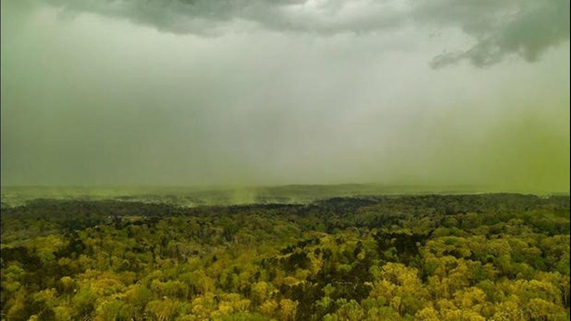 Yes, Pollen Is Annoying -- But Here's Why It's Actually So Important ...