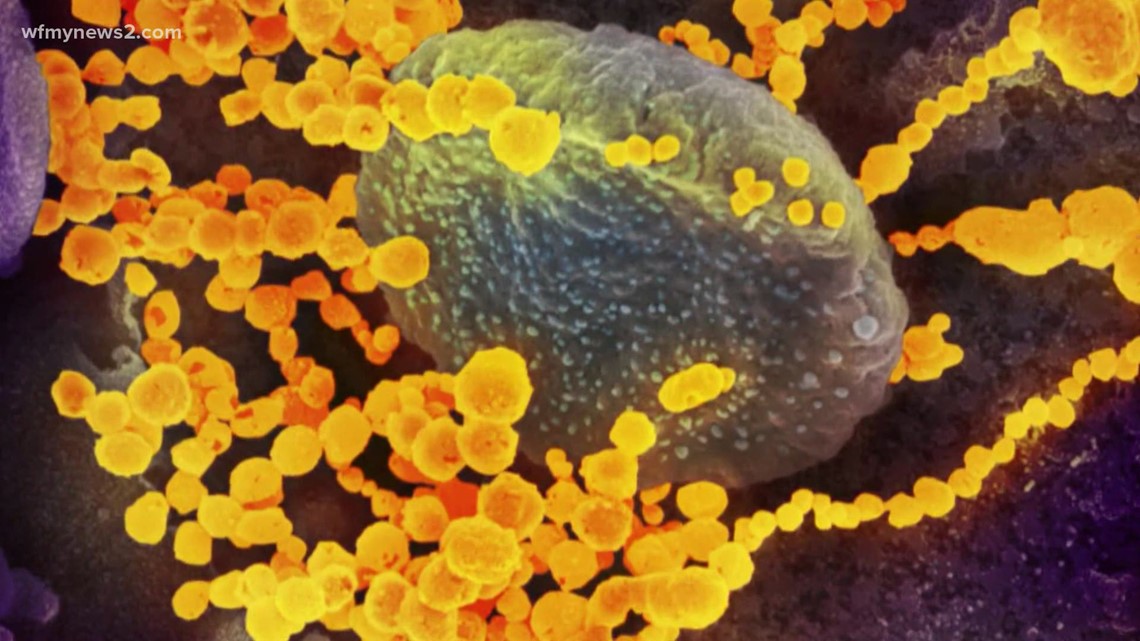 COVID Delta variant | wfmynews2.com