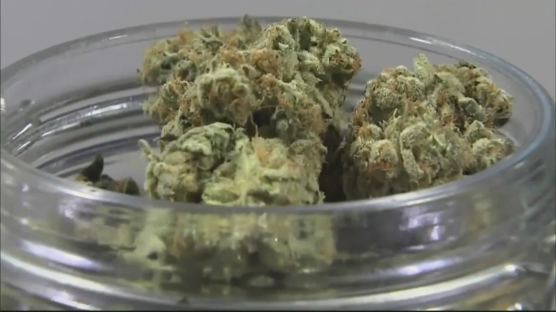 Businesses react to Trump's executive order on marijuana ...