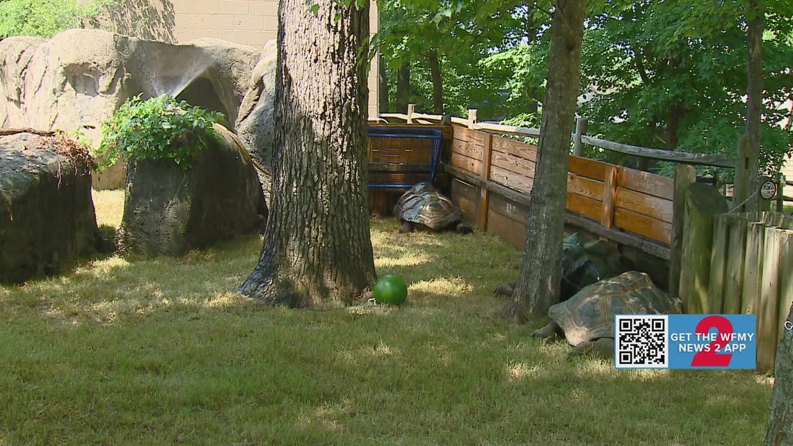 Greensboro Science Center keeping animals cool | wfmynews2.com