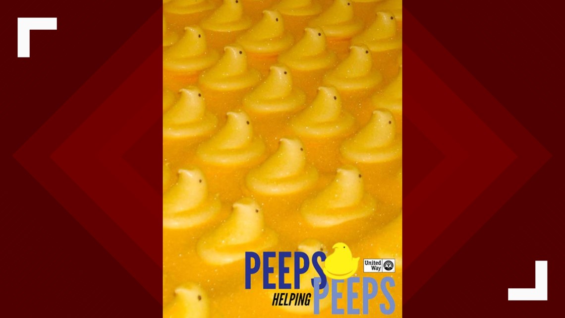 Here's Your Chance to Be a 'Peeper' | The Company That Makes Peeps Is ...