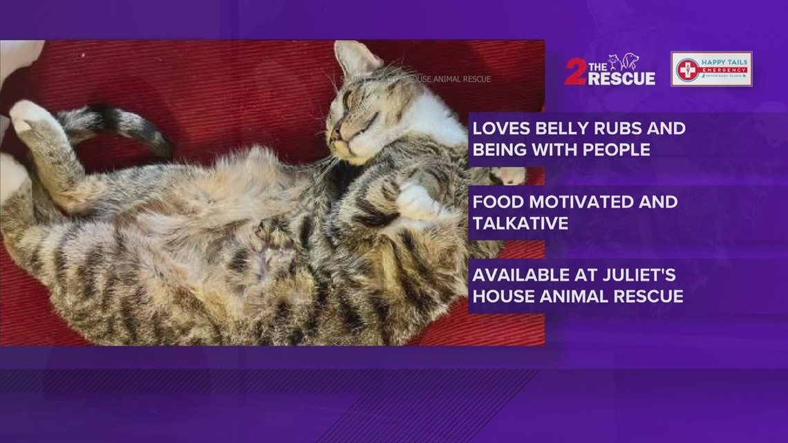 2 the rescue: Meet Phoebe | wfmynews2.com