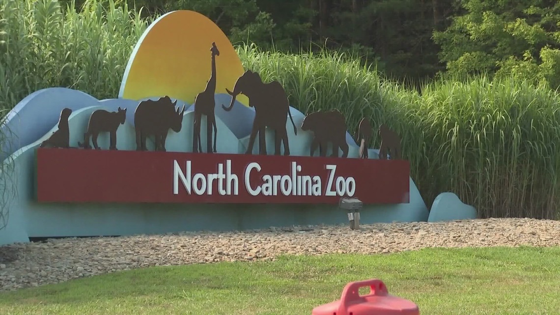 North Carolina Zoo raises ticket prices after 10 years | wfmynews2.com