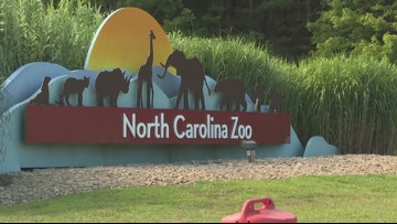 North Carolina Zoo raises ticket prices after 10 years | wfmynews2.com