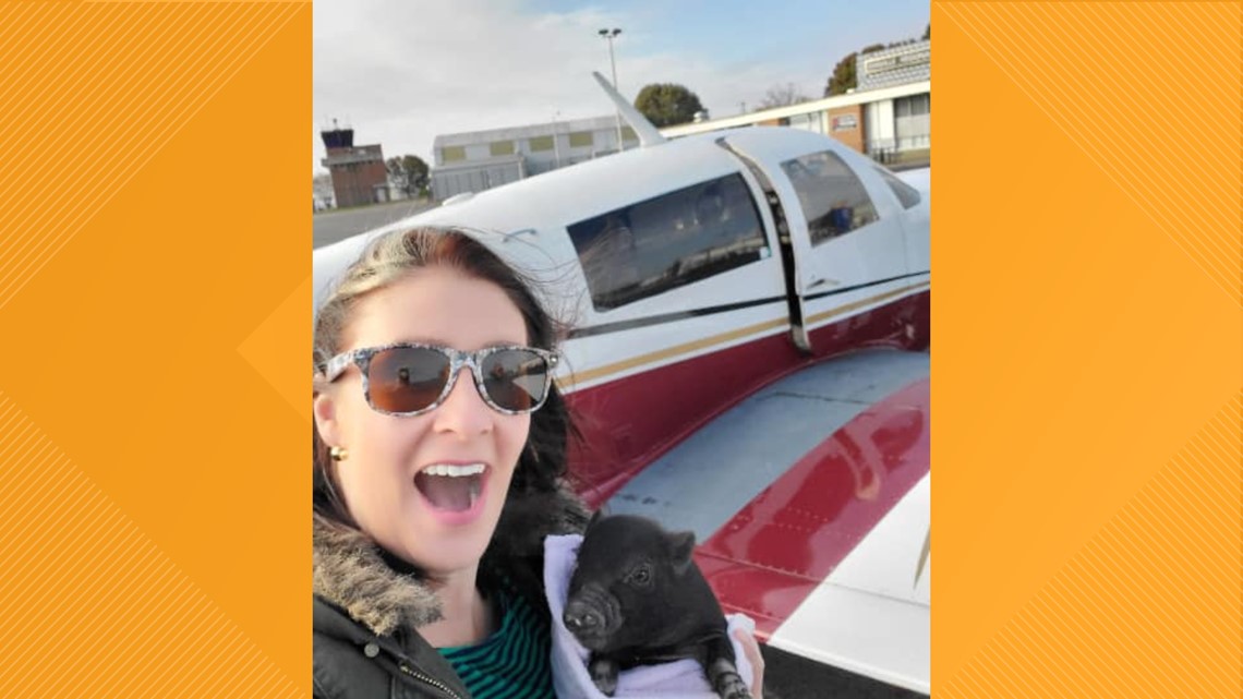 Pig with deformed legs gets second chance on Refuge Farm in NC ...