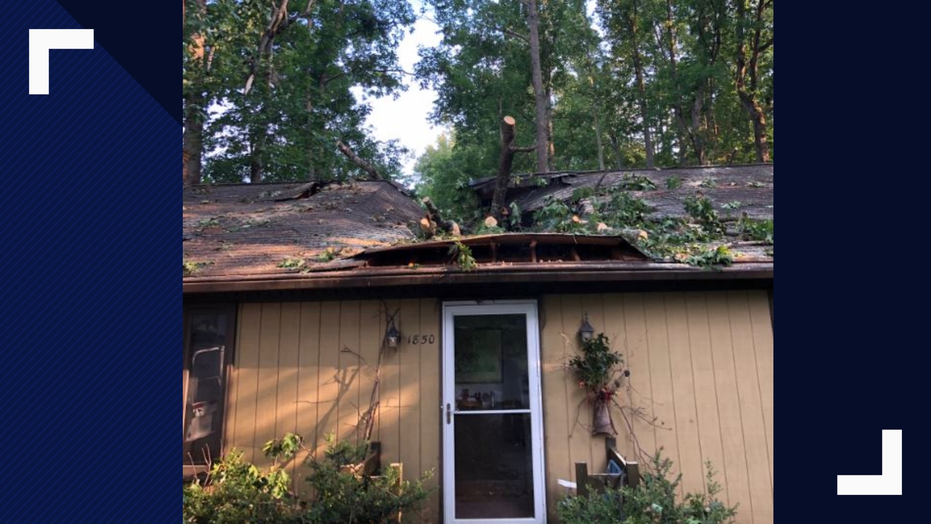 PHOTOS: Tree Crushes House In Winston-Salem | wfmynews2.com