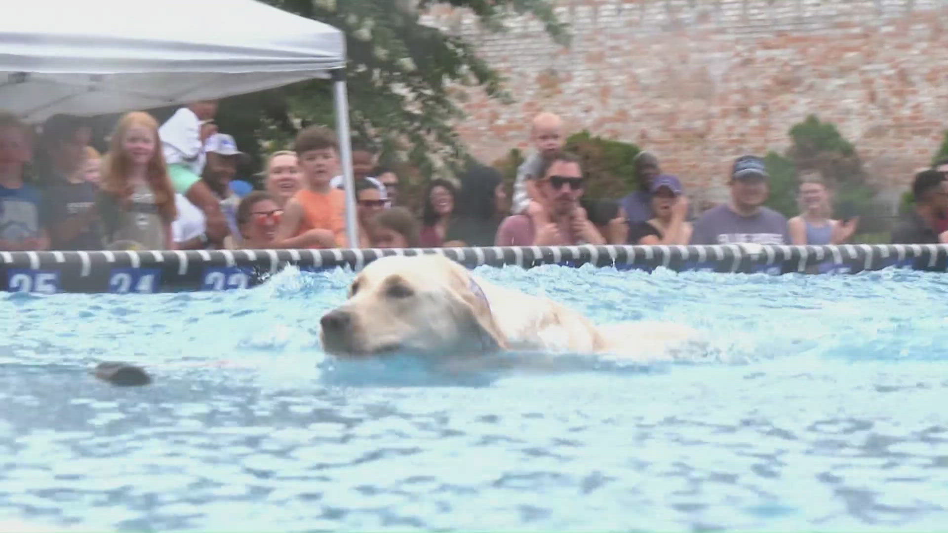 LIST: America 250, July 4th events in the Triad | wfmynews2.com