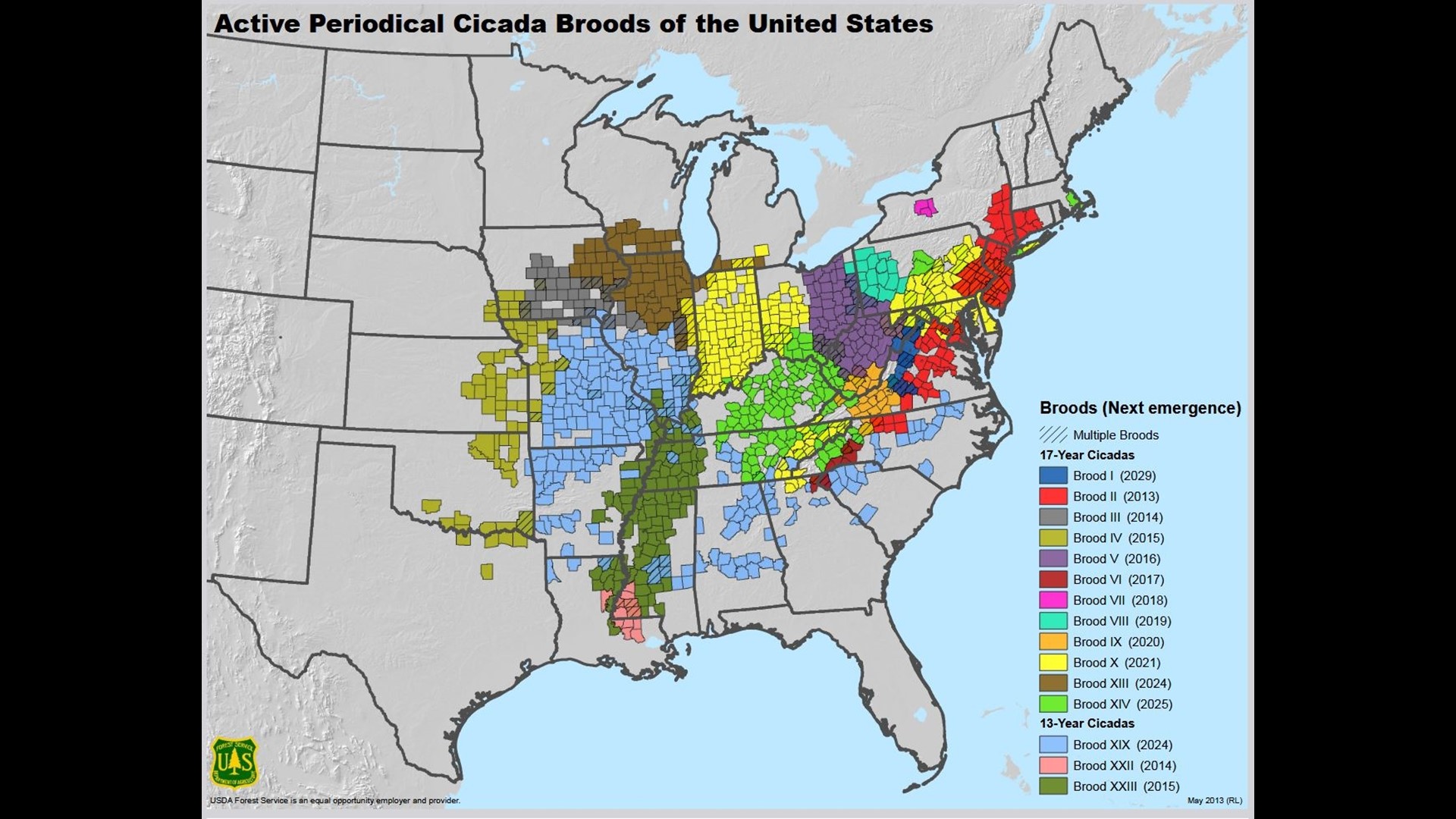 When will the cicadas emerge? | wfmynews2.com