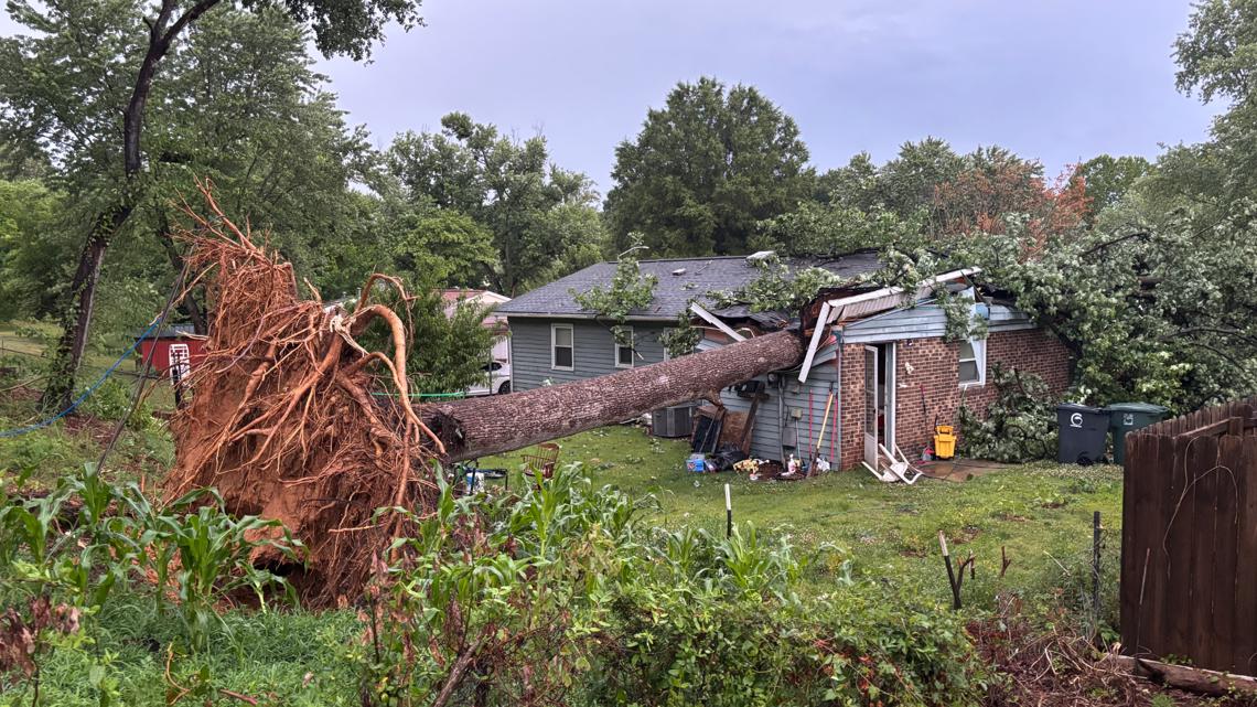 Storms down trees, cause tens of thousands of power outages across ...