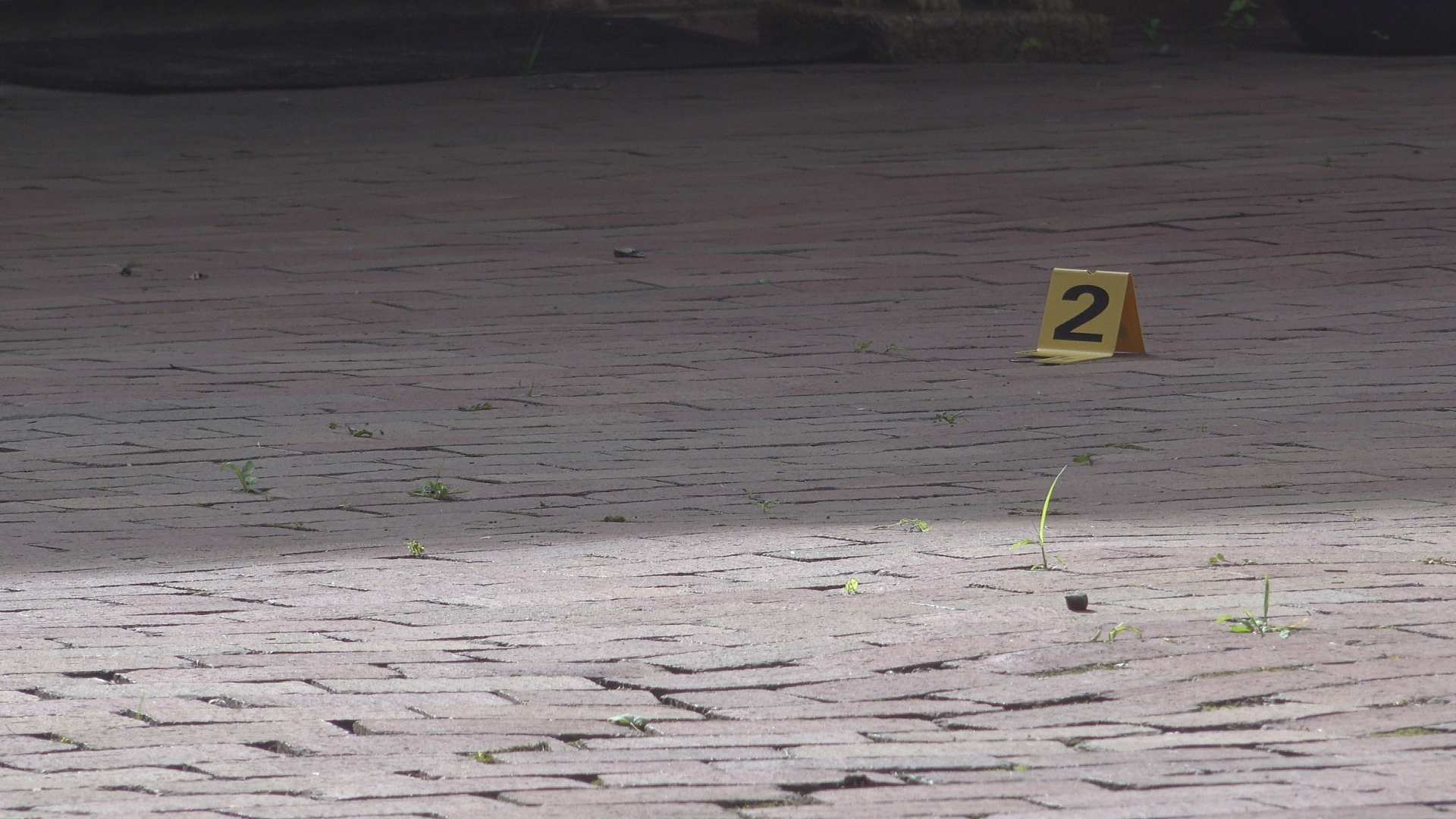 Brain Tumor Device By Duke Engineer Gains FDA Breakthrough Status ...