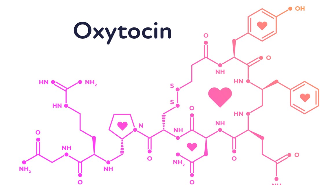 Wake Forest School of Medicine studying the love hormone | wfmynews2.com