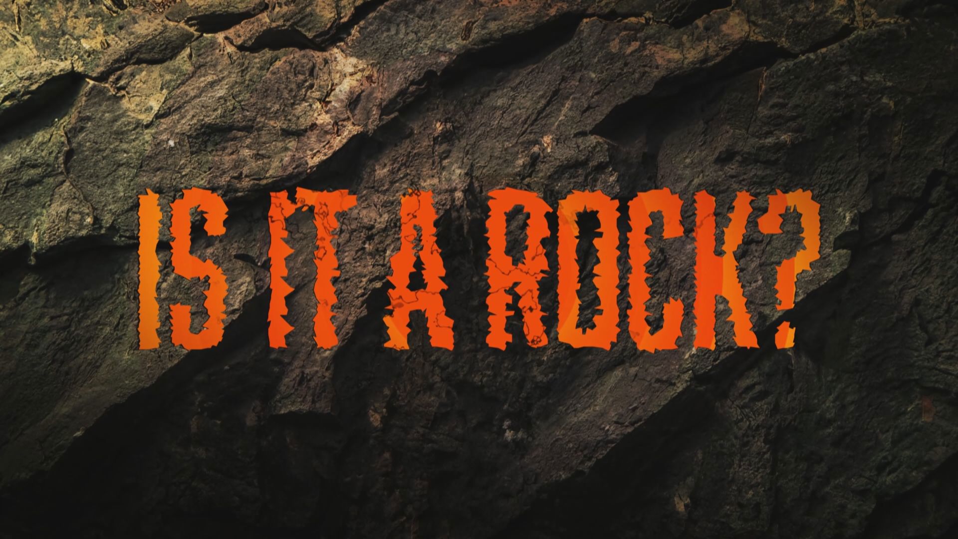 Is it a Rock? | What 2 See at The GSC | wfmynews2.com