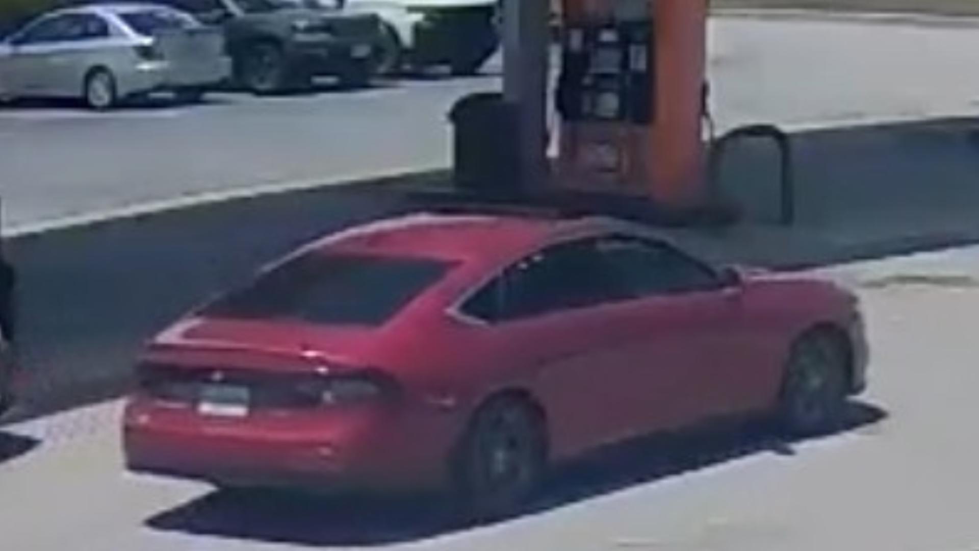 Rockingham County: Stolen French bulldog found safe | wfmynews2.com