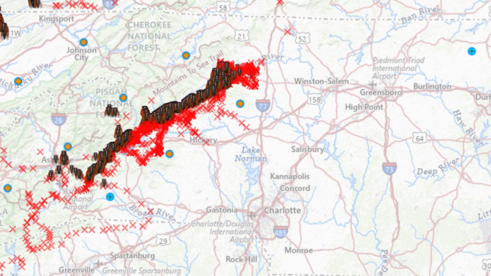 When are the cicadas going away and when will they return to NC ...