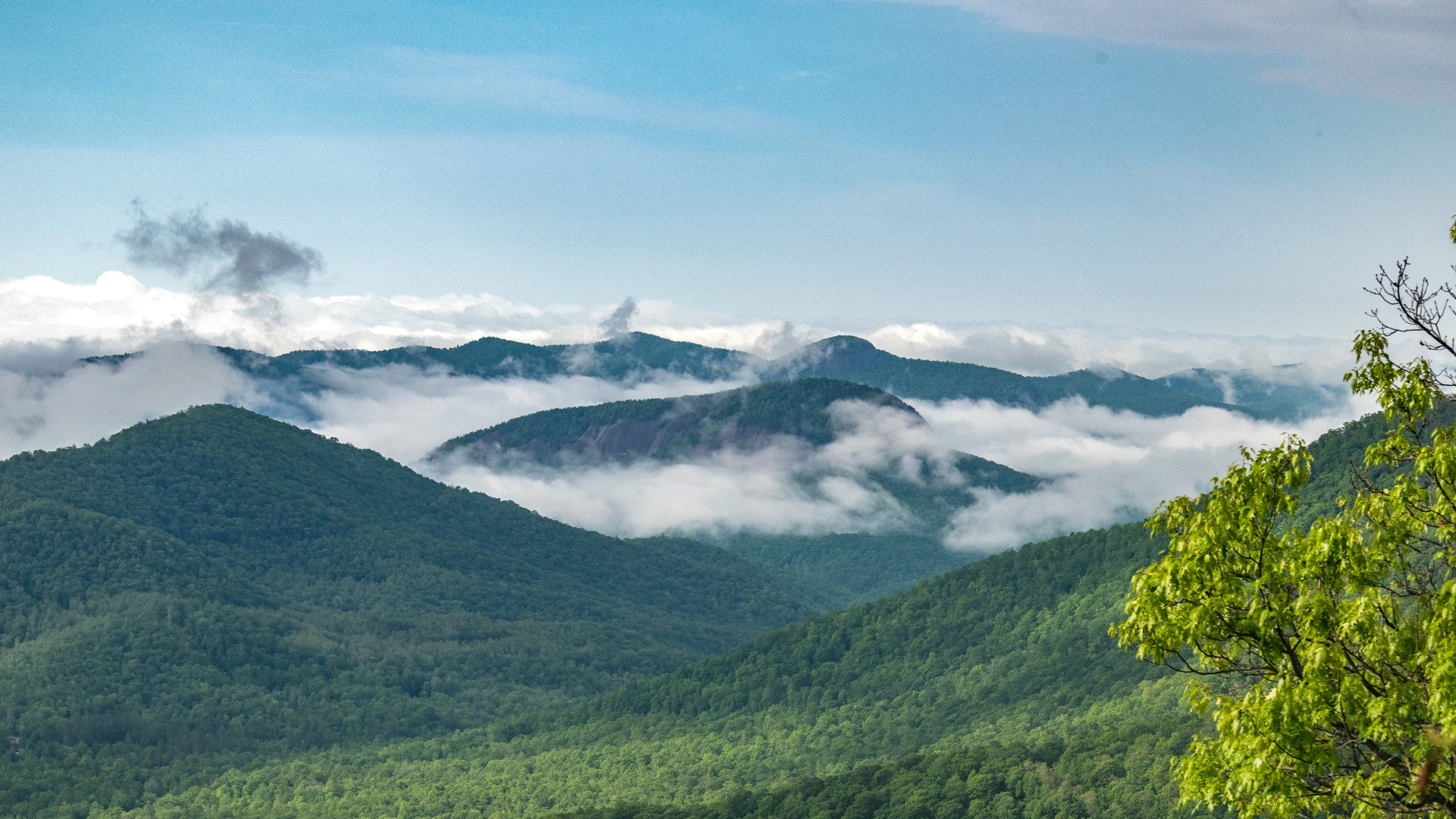 Best stops along the Blue Ridge Parkway | wfmynews2.com