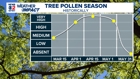 North Carolina pollen season ramping up | wfmynews2.com