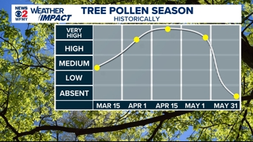 North Carolina pollen season ramping up | wfmynews2.com