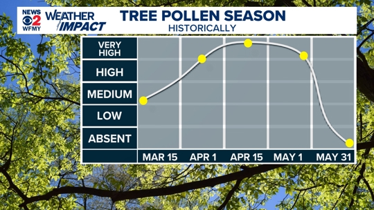 North Carolina pollen season ramping up | wfmynews2.com