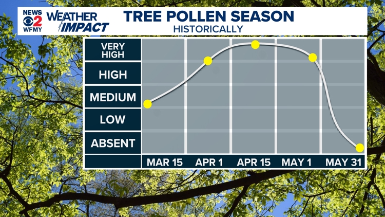 North Carolina pollen season ramping up | wfmynews2.com