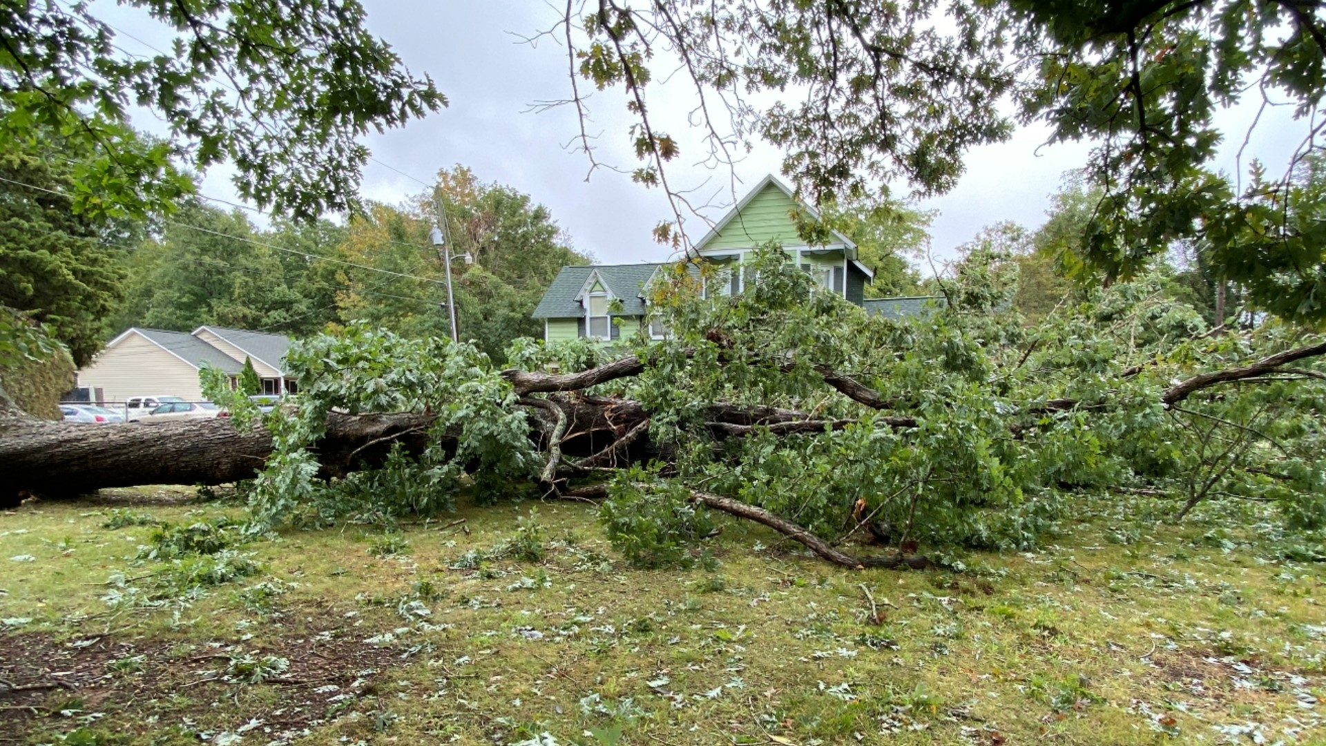 Tree falls on Mebane home amid Hurricane Ian | wfmynews2.com