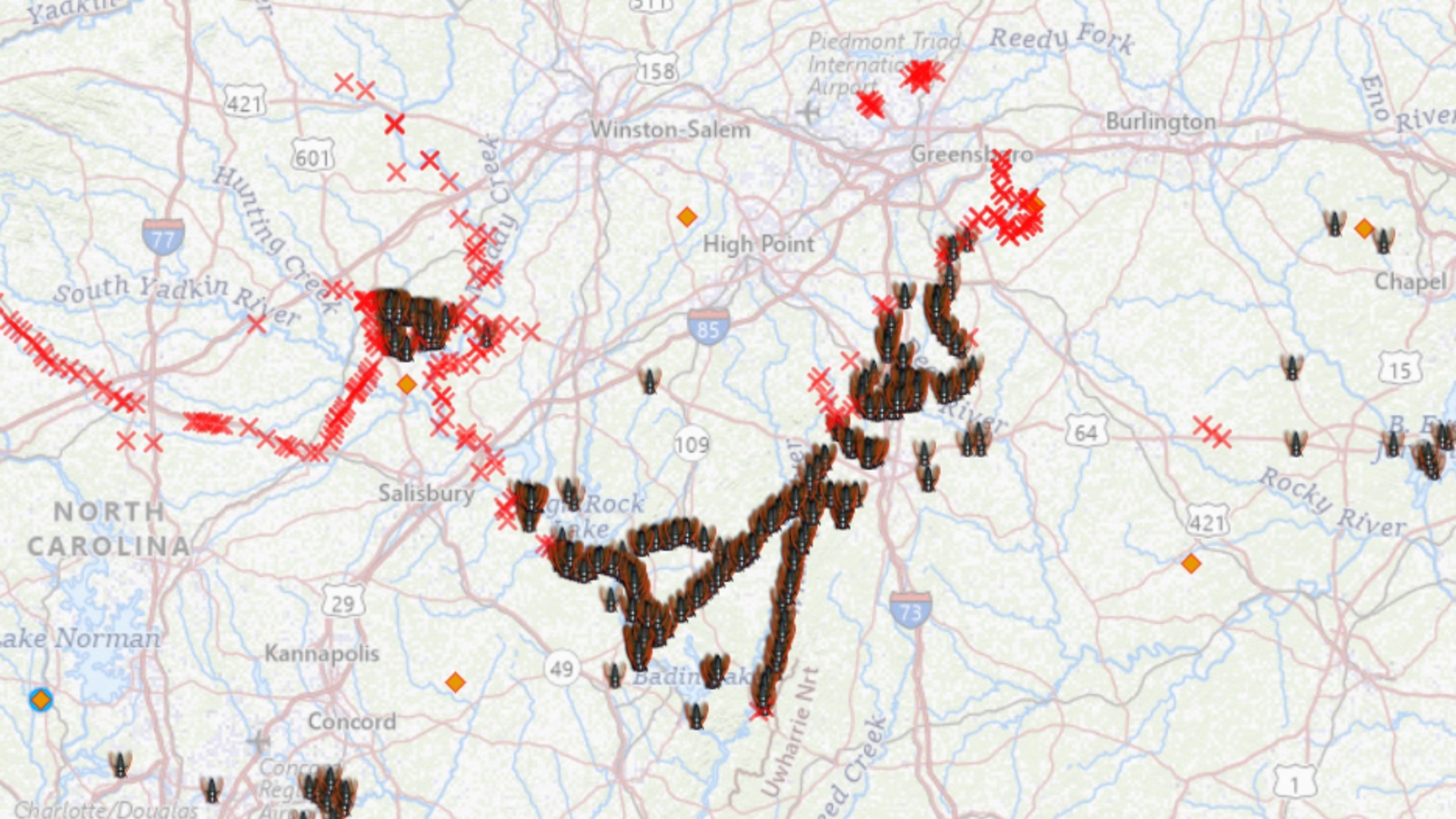 When are the cicadas going away and when will they return to NC ...