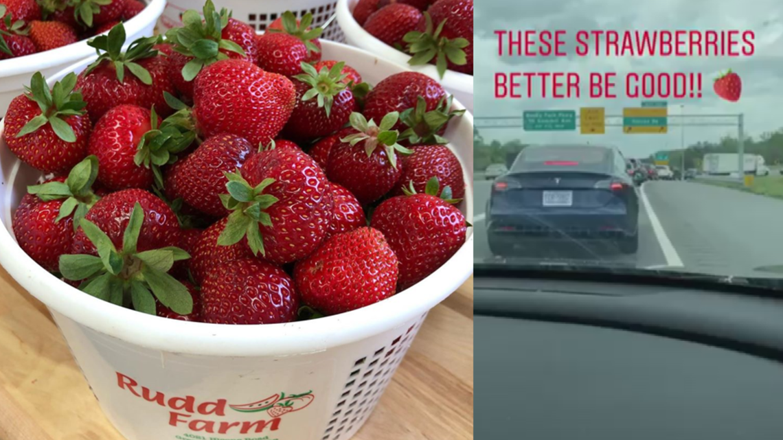 Get fresh strawberries at the drive-thru at Rudd Farm | wfmynews2.com
