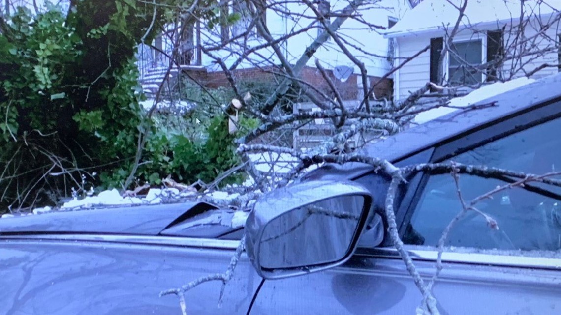 Fallen tree hits car causing major damage | wfmynews2.com